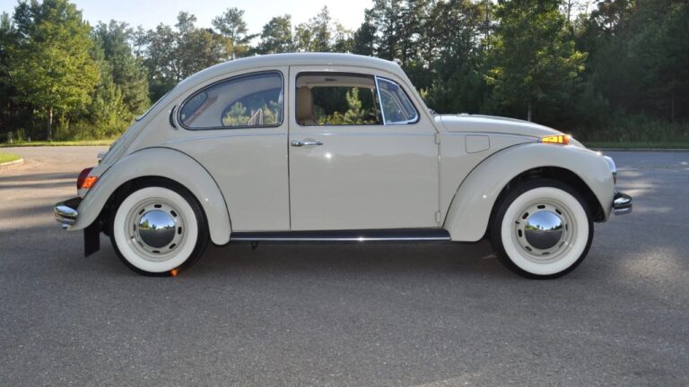 10 Lovable Slug Bugs – VW Beetle - FAST LANE ONLY