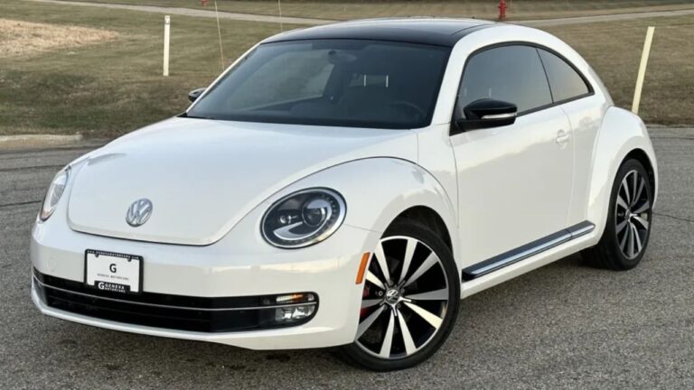 10 Lovable Slug Bugs – VW Beetle - FAST LANE ONLY