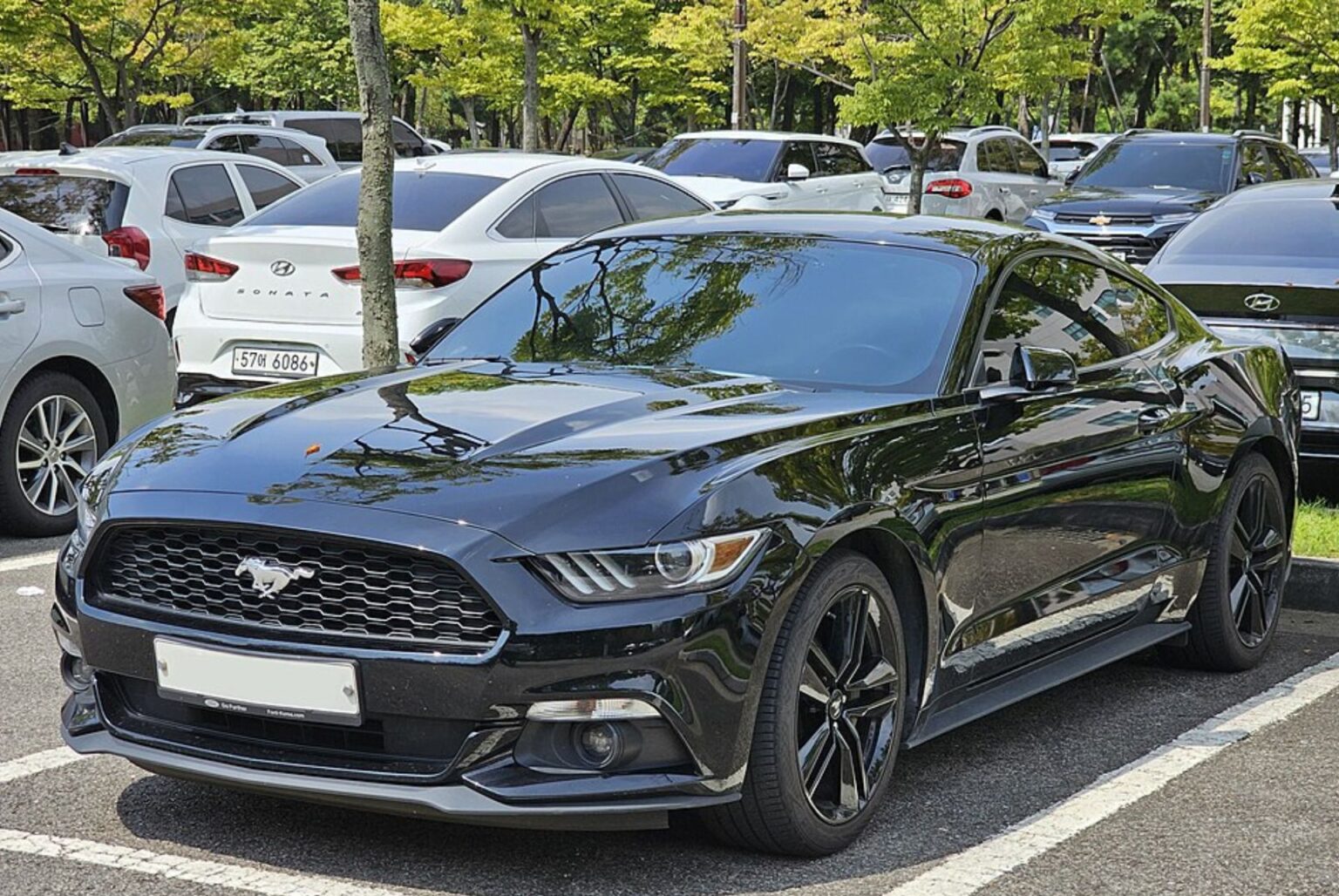 9 cheap performance cars finally breaking out - FAST LANE ONLY